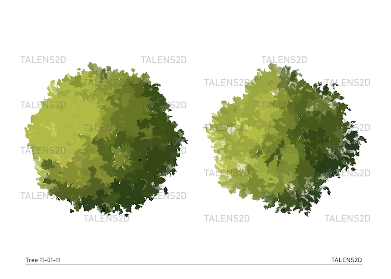 Tree Top View, 2D Landscape Clipart in PNG - Etsy
