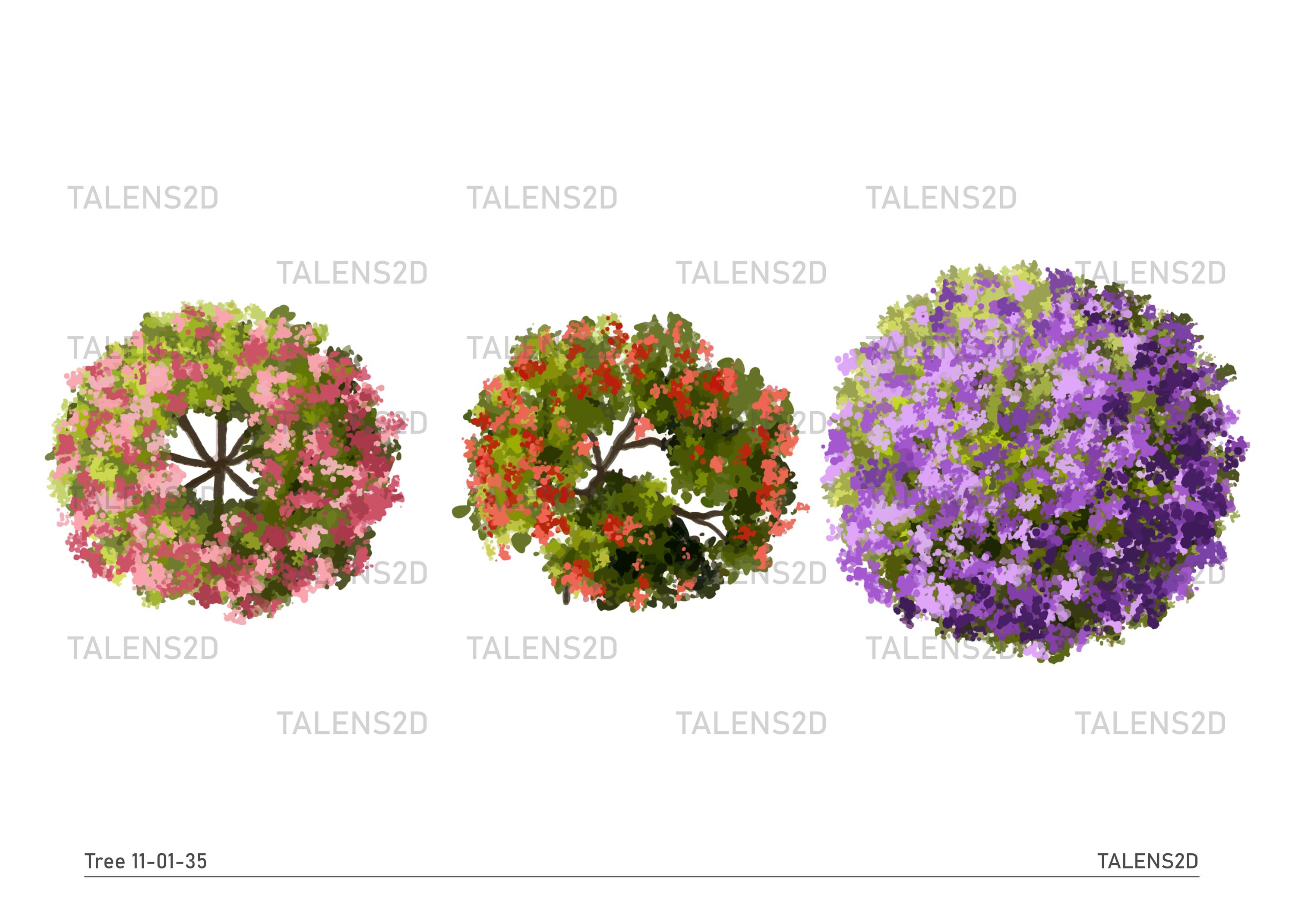 Tree Top View, 2D Landscape Clipart in PNG - Etsy