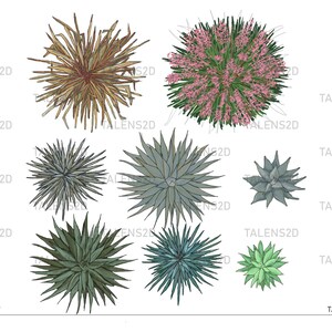Plant Top View, 2D Landscape Clipart in PNG - Etsy