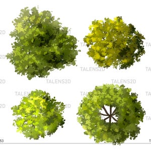 Tree Top View, 2D Landscape Clipart in PNG - Etsy