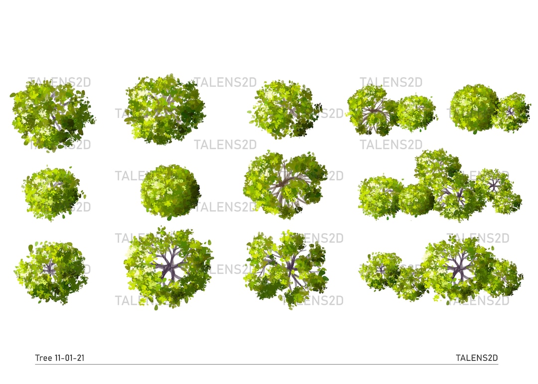 Tree Top View, 2D Landscape Clipart in PNG - Etsy