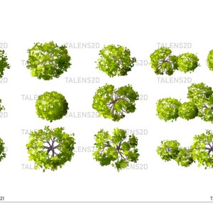 Tree Top View, 2D Landscape Clipart in PNG - Etsy