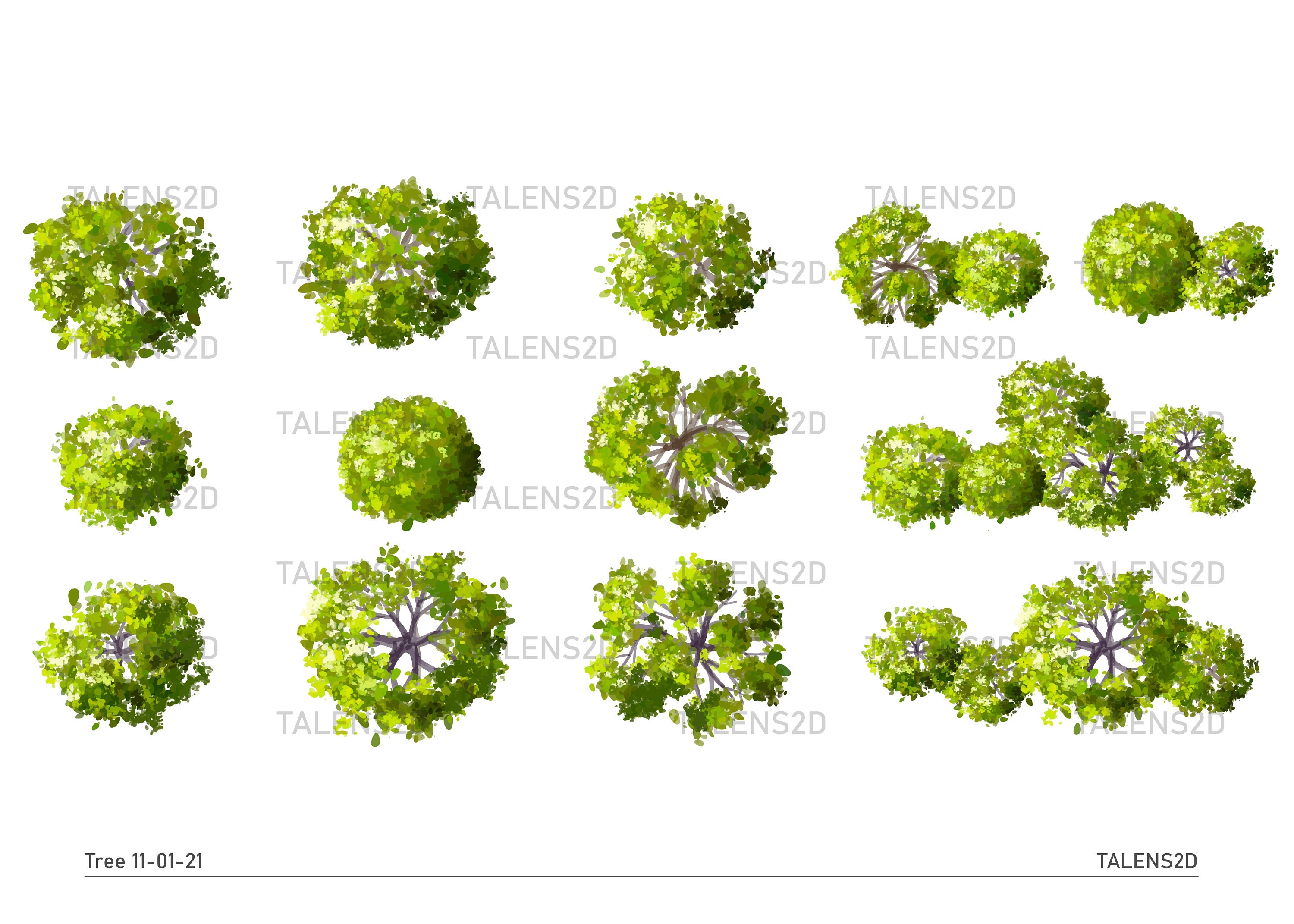 Tree Top View, 2D Landscape Clipart in PNG - Etsy