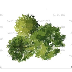Tree Top View, 2D Landscape Clipart in PNG - Etsy