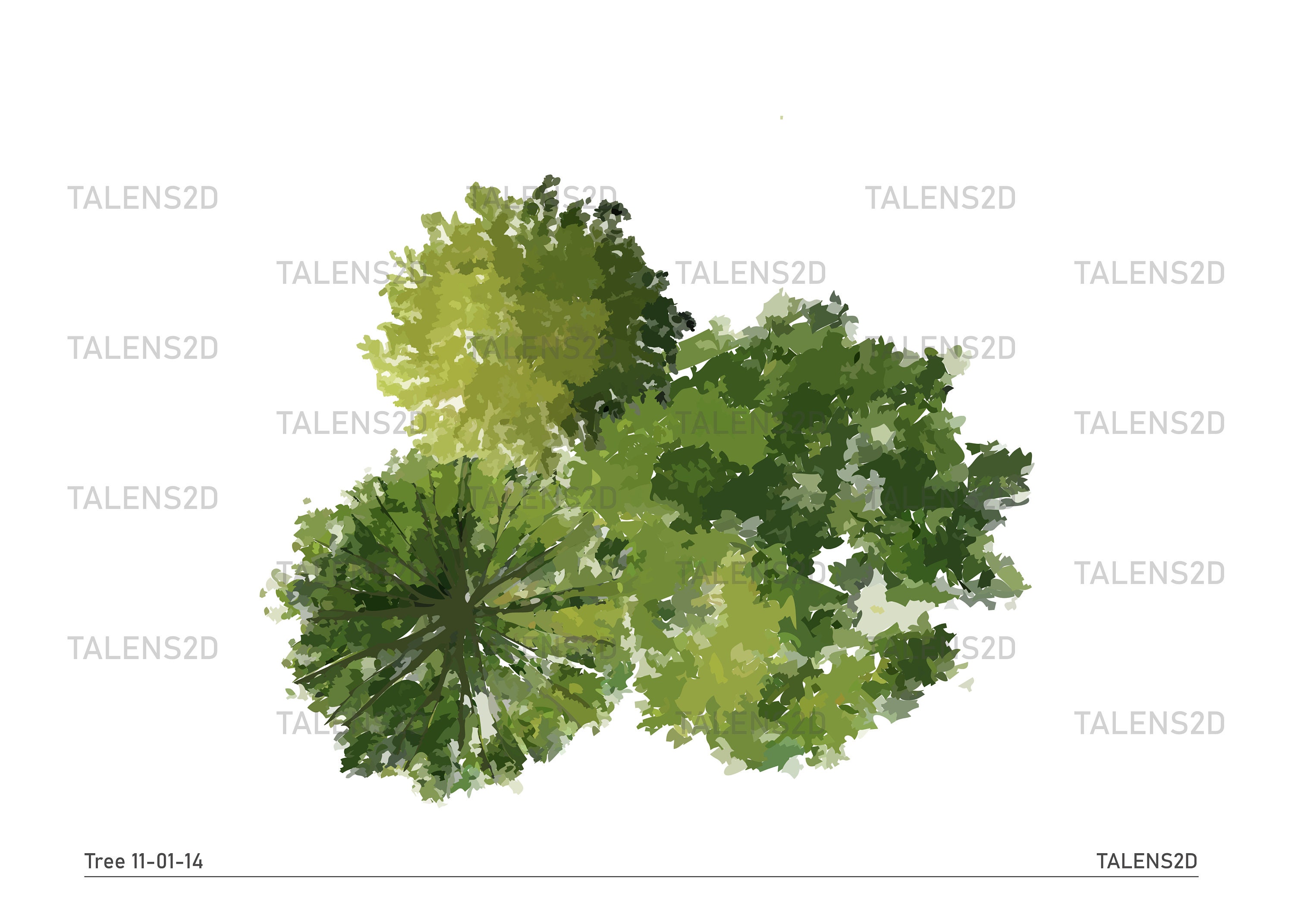 Tree Top View, 2D Landscape Clipart in PNG - Etsy