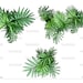 Landscape Plant Top View PNG: Garden Design Graphics (digital Download ...