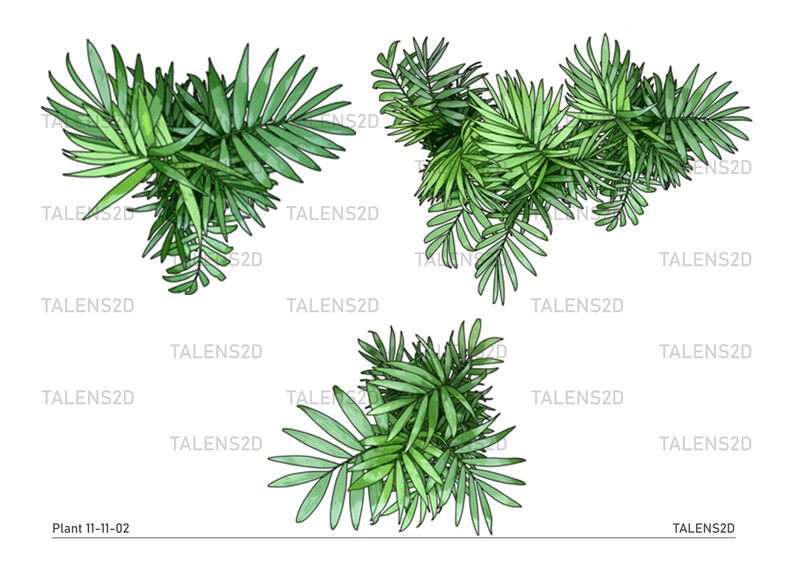 Plant Top View, Landscape Plants, Hand Painted Plant Top Symbols for ...