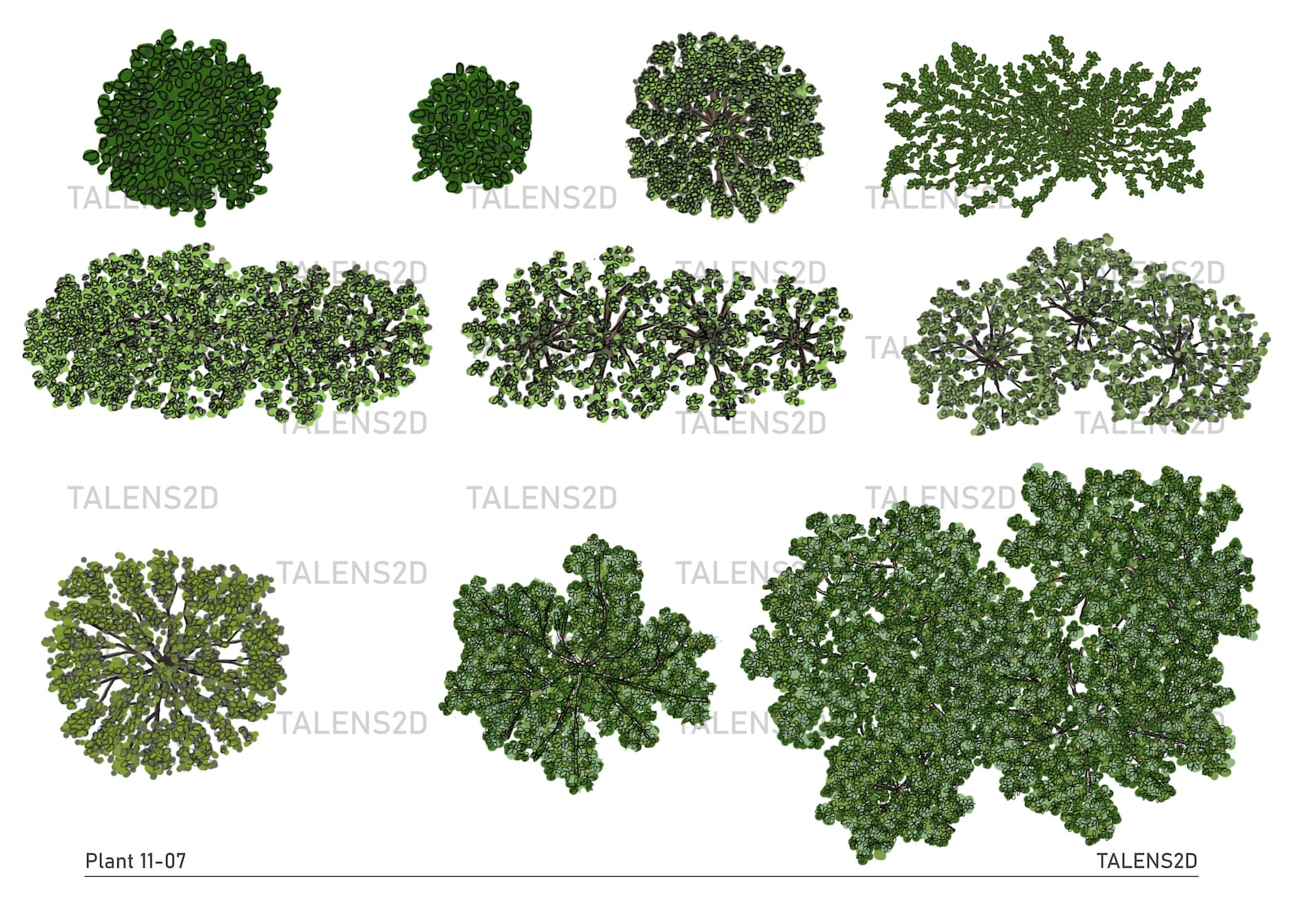 Plant Top View, 2D Landscape Clipart in PNG - Etsy