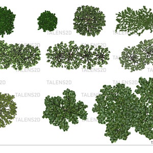 Plant Top View, 2D Landscape Clipart in PNG - Etsy