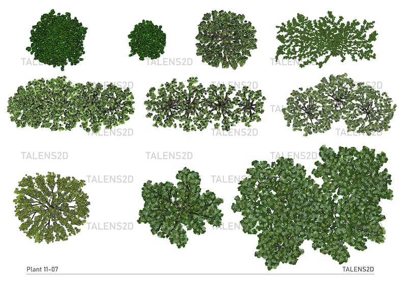 Plant Top View, 2D Landscape Clipart in PNG - Etsy
