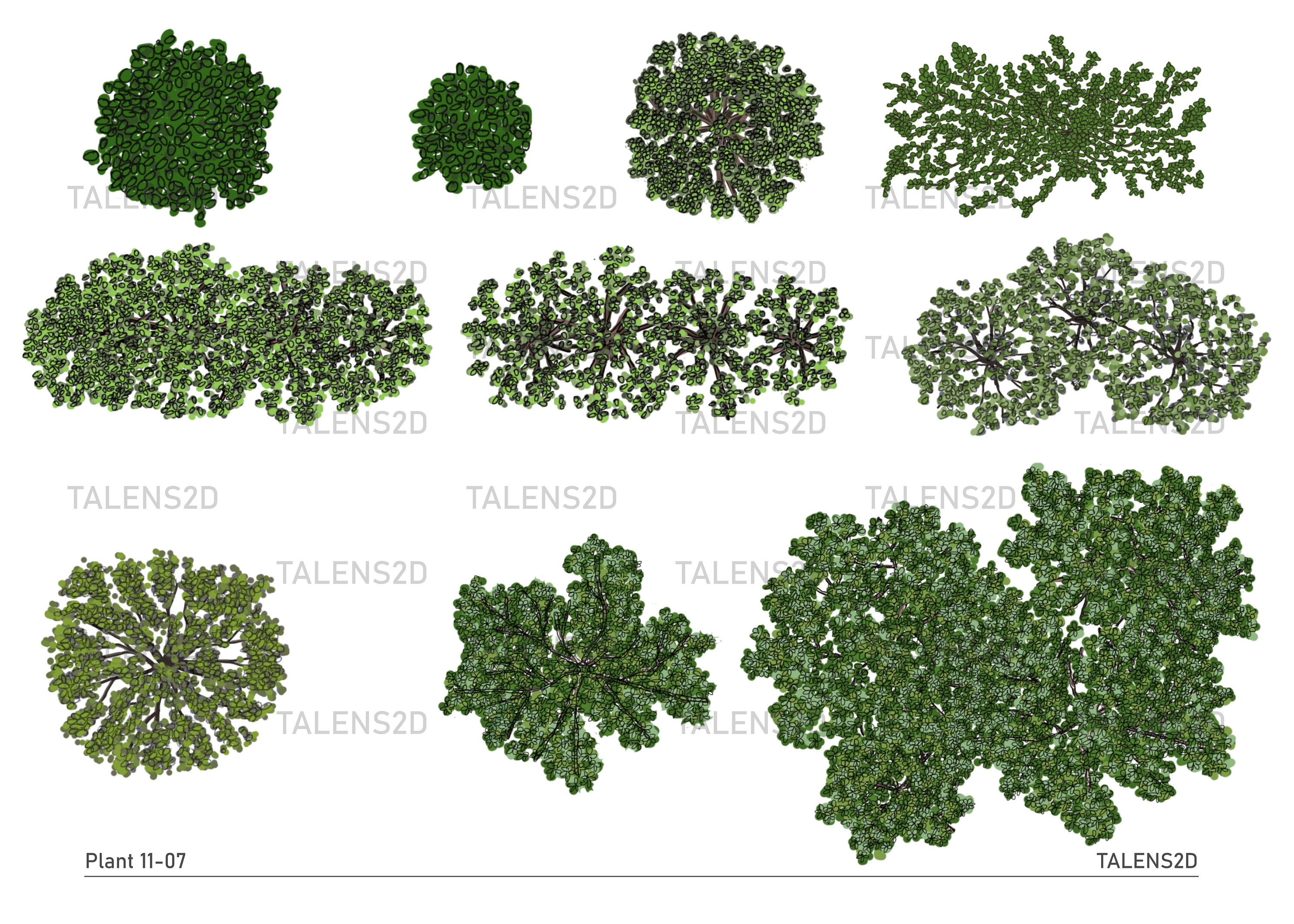 Plant Top View, 2D Landscape Clipart in PNG - Etsy