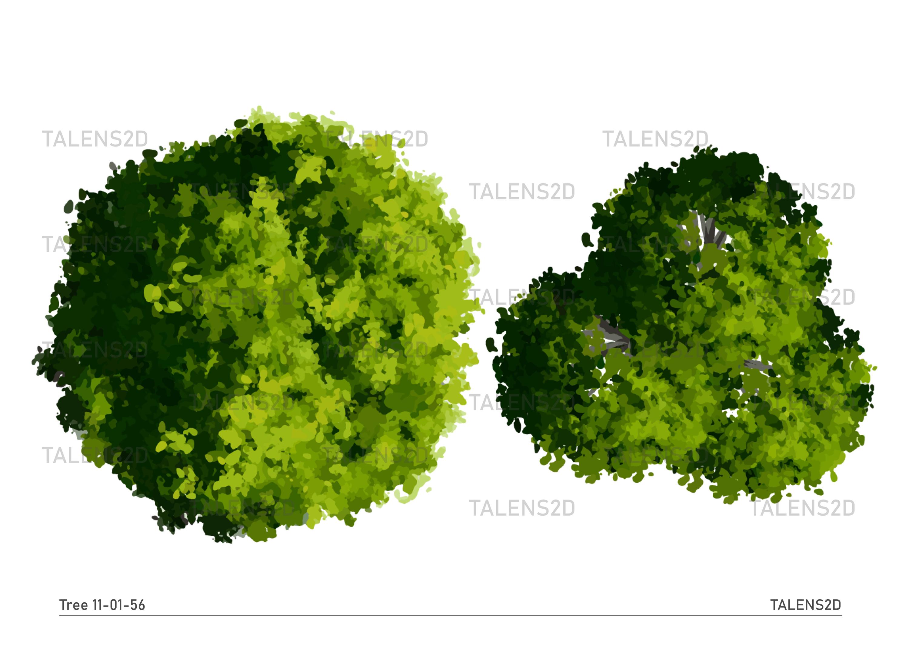 Tree Top View, 2D Landscape Clipart in PNG - Etsy