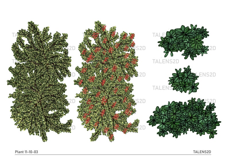 Plant Top View, 2D Landscape Clipart in PNG - Etsy