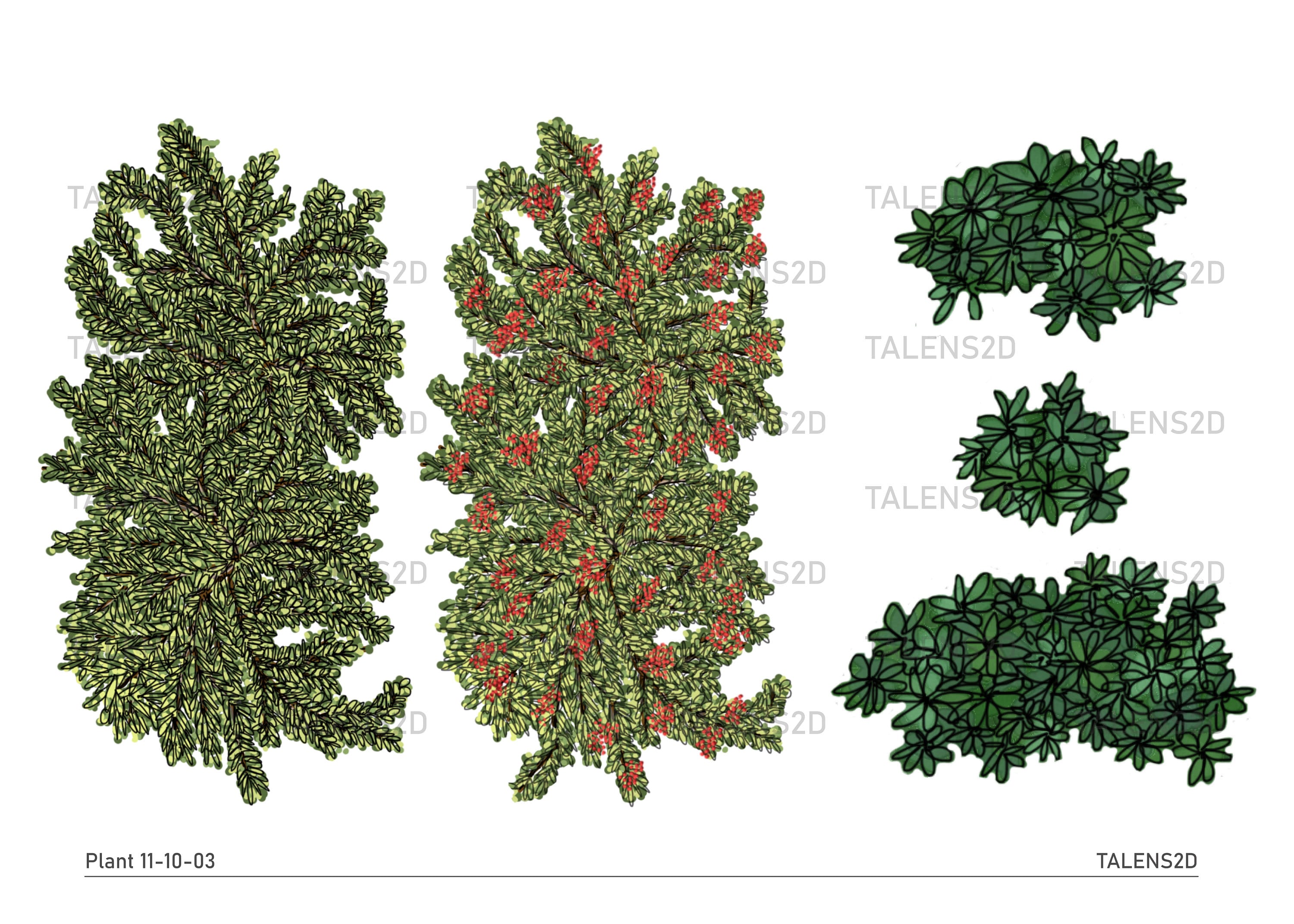 Plant Top View, 2D Landscape Clipart in PNG - Etsy