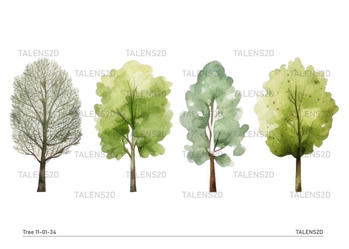 Watercolor Trees Clipart | Painted Tree Clipart | PNG Graphics ...