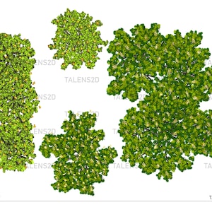 Plant Top View, 2D Landscape Clipart in PNG - Etsy