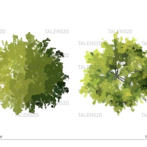 Tree Top View, 2D Landscape Clipart in PNG - Etsy