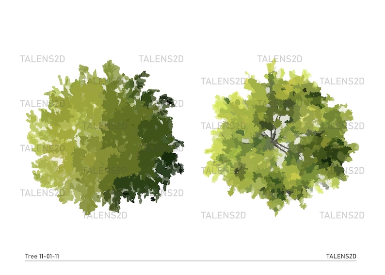 Tree Top View, 2D Landscape Clipart in PNG - Etsy