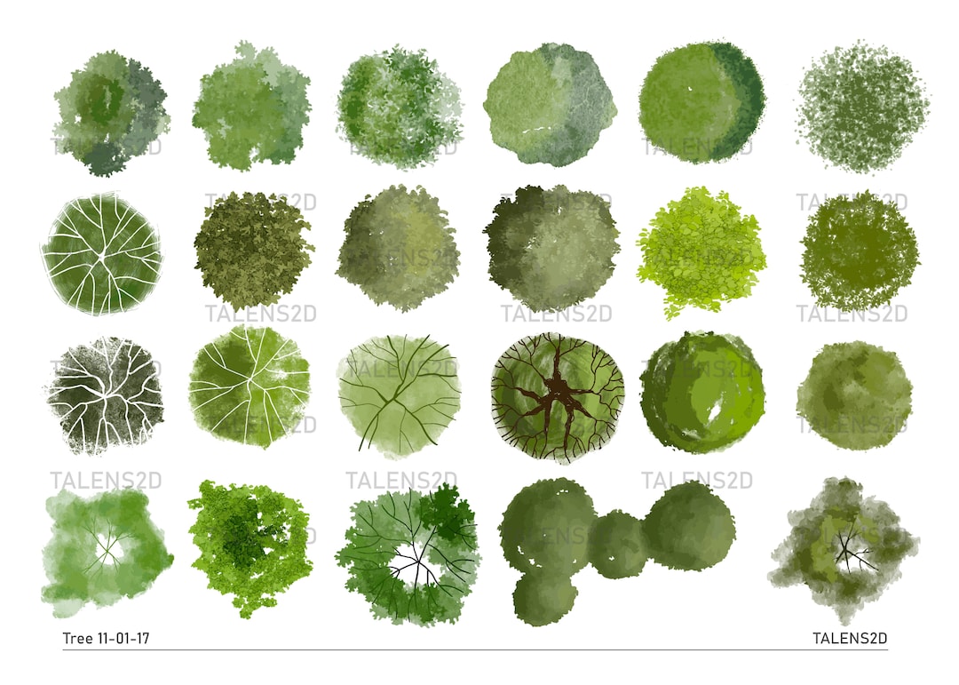 Buy Tree Top View, 2D Landscape Clipart in PNG Online in India - Etsy