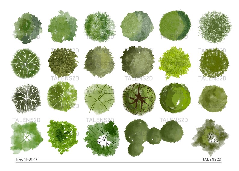 Tree Top View, 2D Landscape Clipart in PNG - Etsy Australia