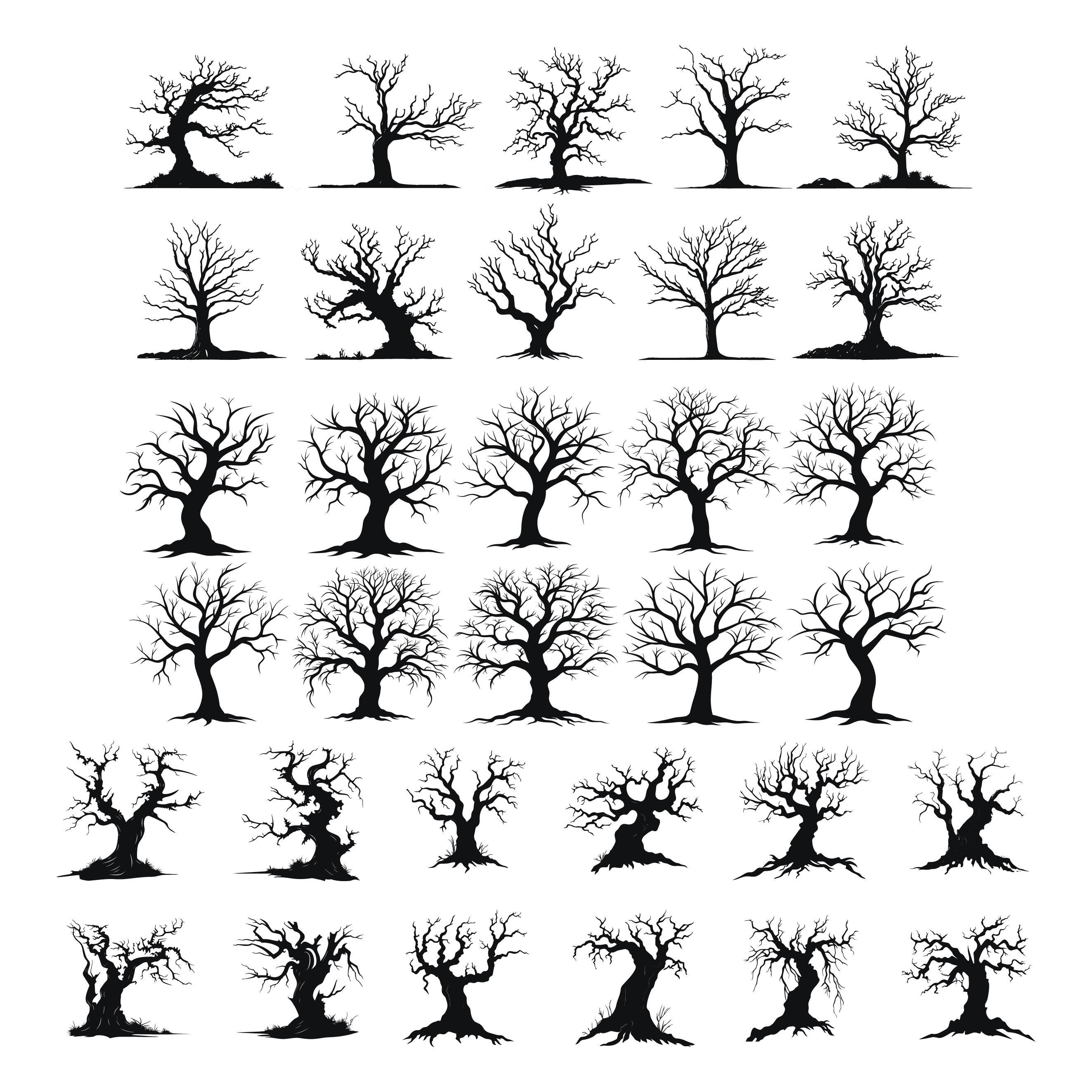 Bare Tree SVG Bundle, Bare Trees SVG, Bare Tree Silhouette, Bare Tree ...