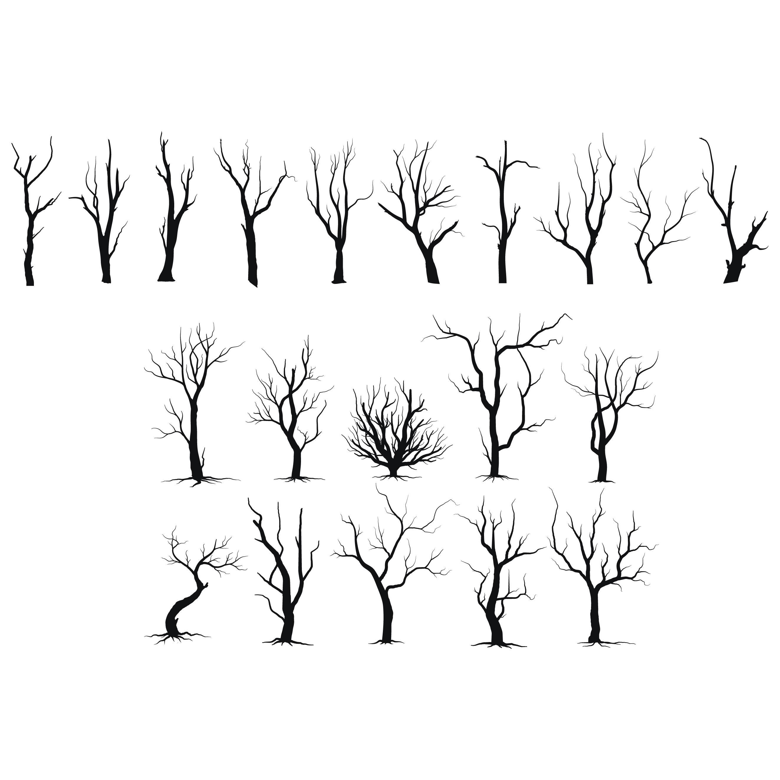 Bare Tree SVG Bundle, Bare Trees SVG, Bare Tree Silhouette, Bare Tree ...