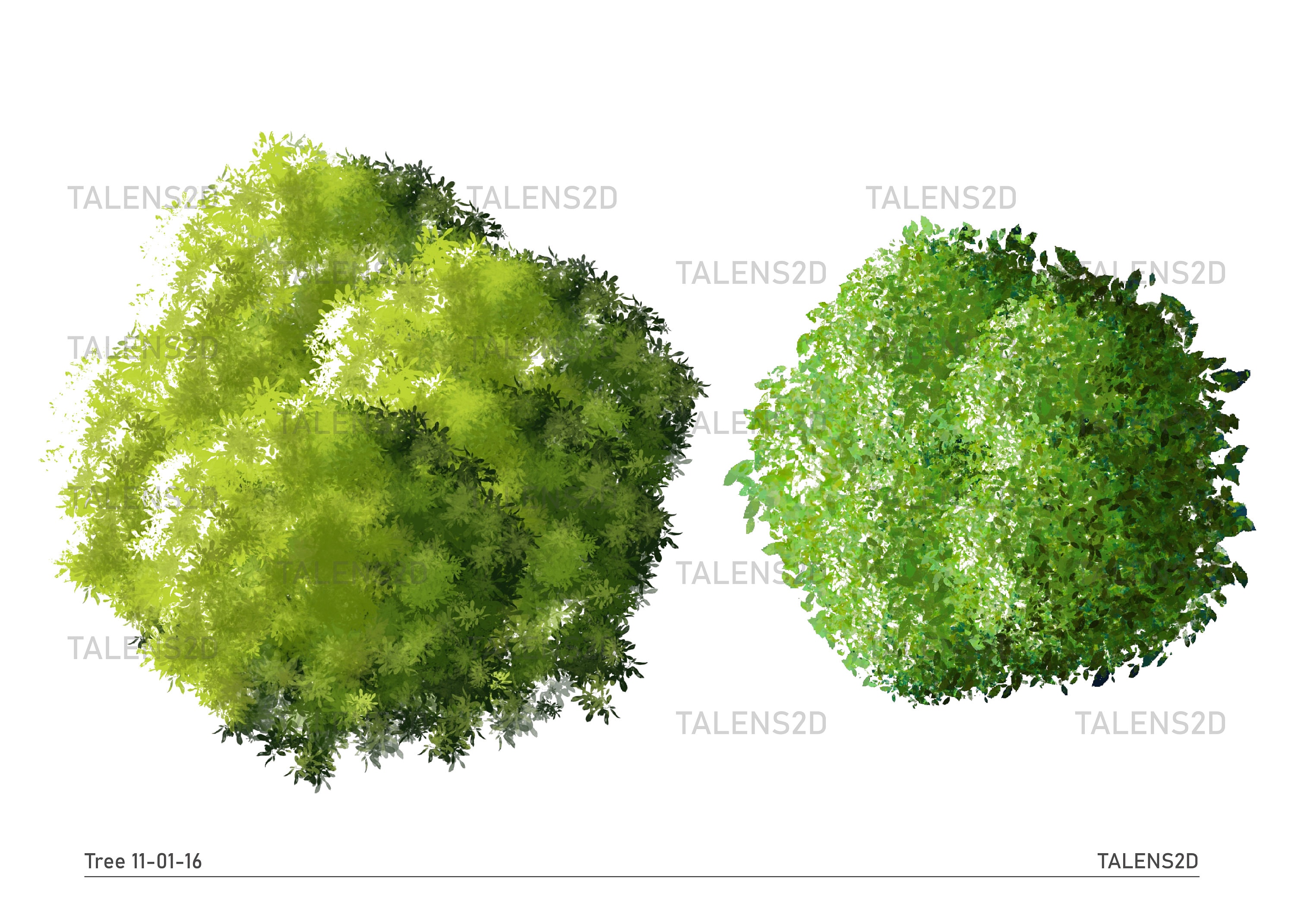 Tree Top View, 2D Landscape Clipart in PNG - Etsy