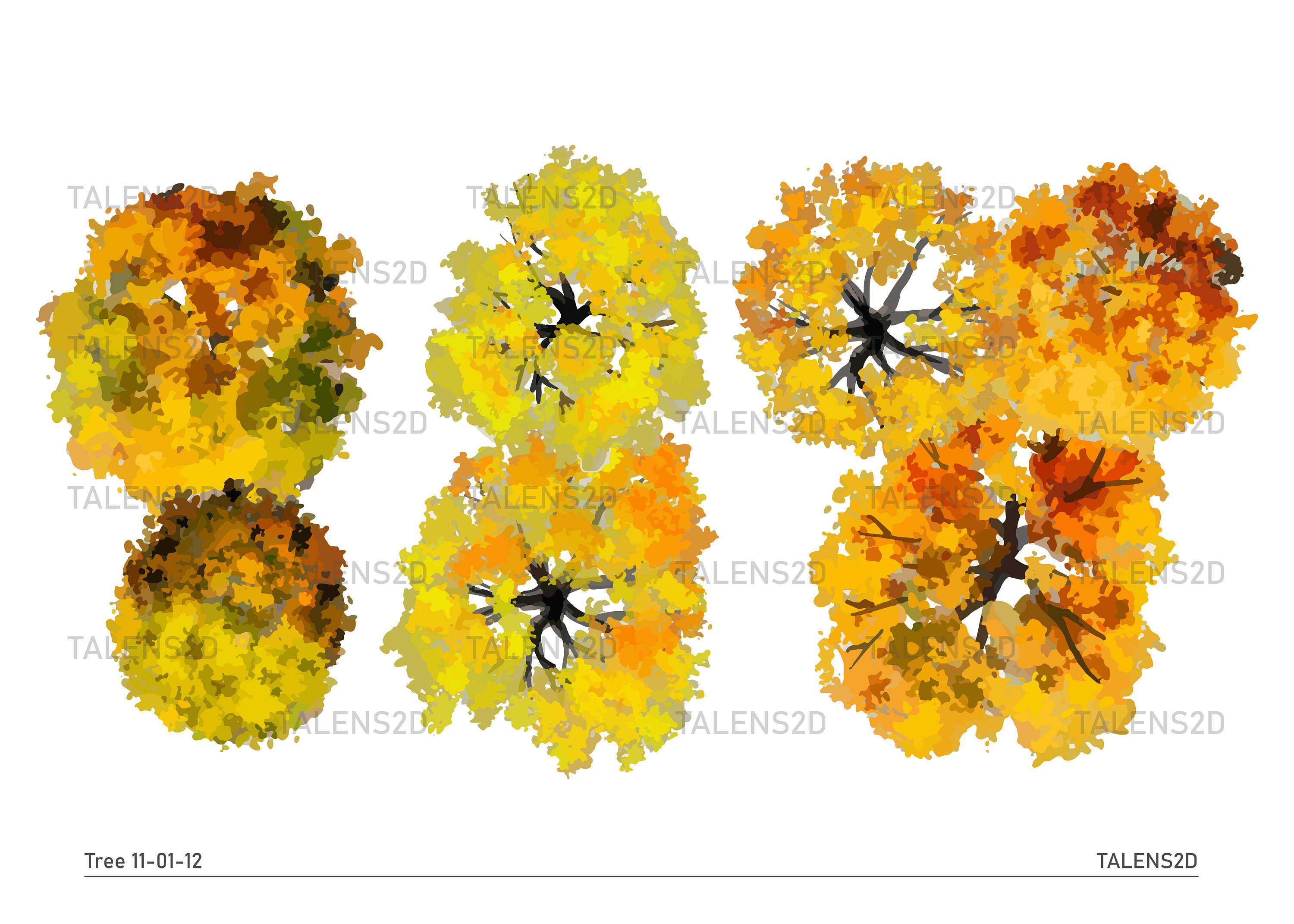 Tree Top View 2D Landscape Clipart in PNG - Etsy