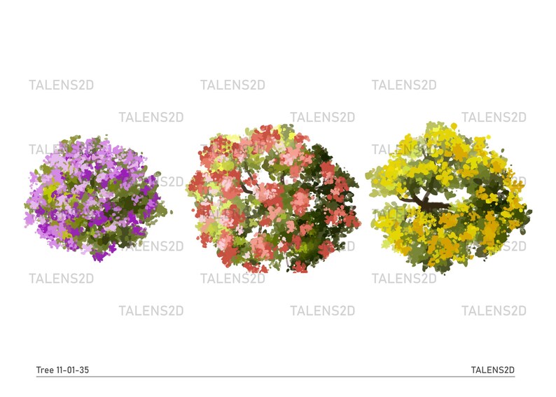 Tree Top View, 2D Landscape Clipart in PNG - Etsy