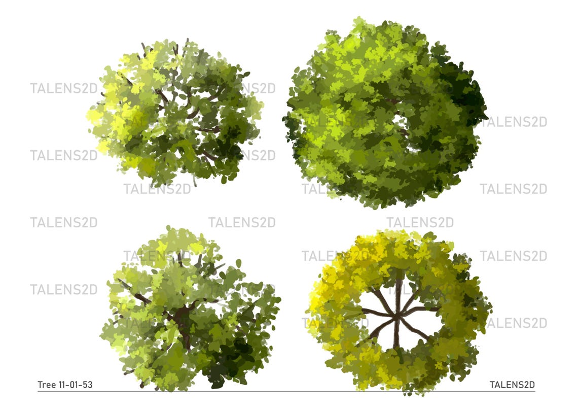 Tree Top View, 2D Landscape Clipart in PNG - Etsy