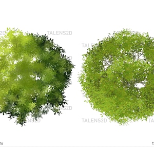 Tree Top View, 2D Landscape Clipart in PNG - Etsy