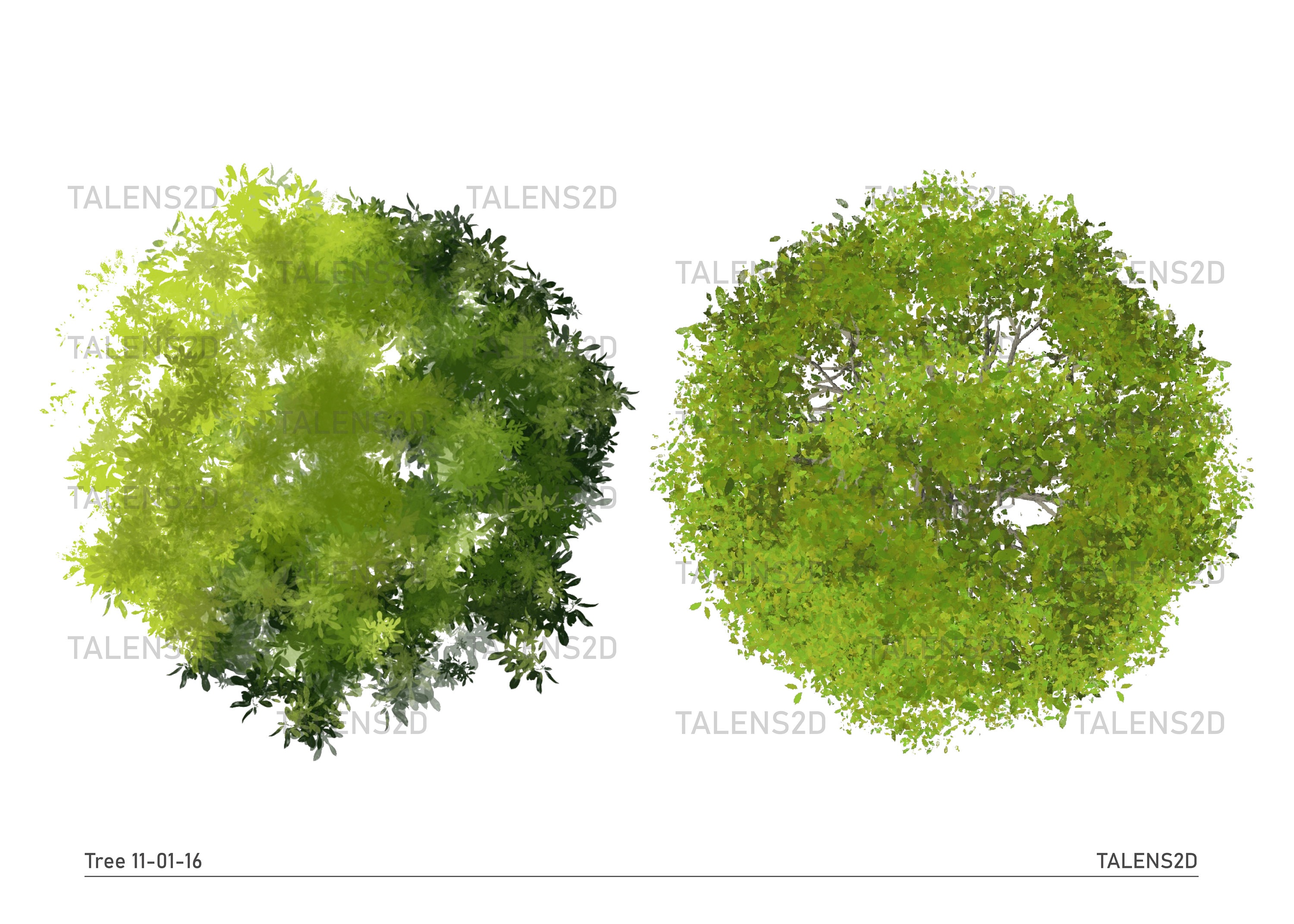 Tree Top View, 2D Landscape Clipart in PNG - Etsy
