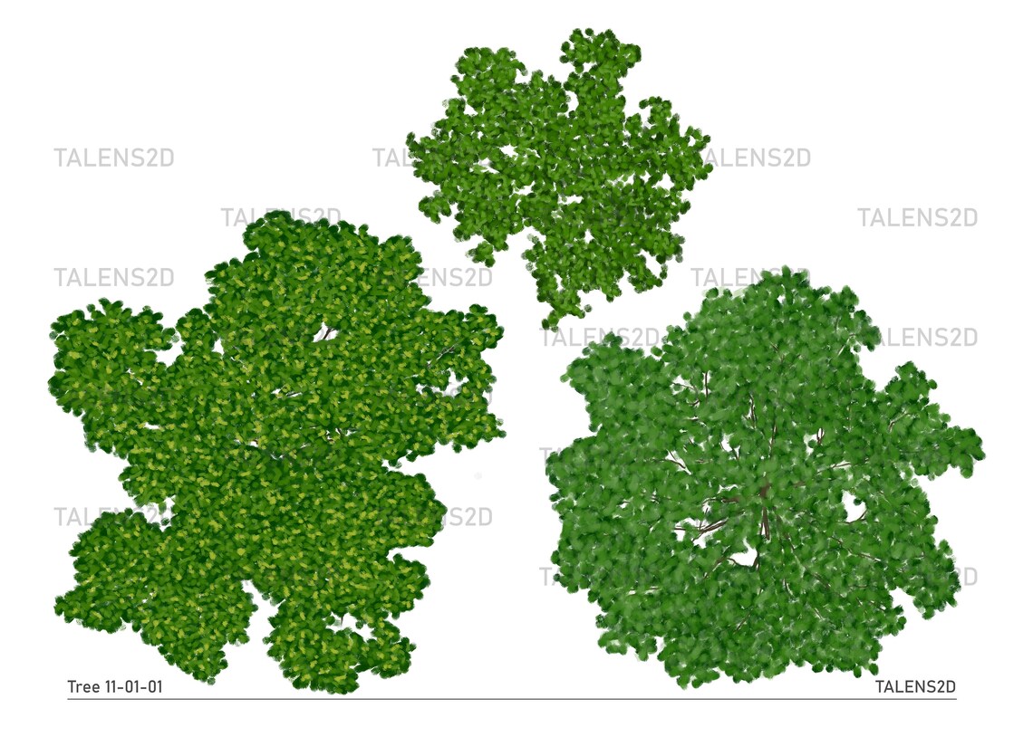 Tree Top View, 2D Landscape Clipart in PNG - Etsy