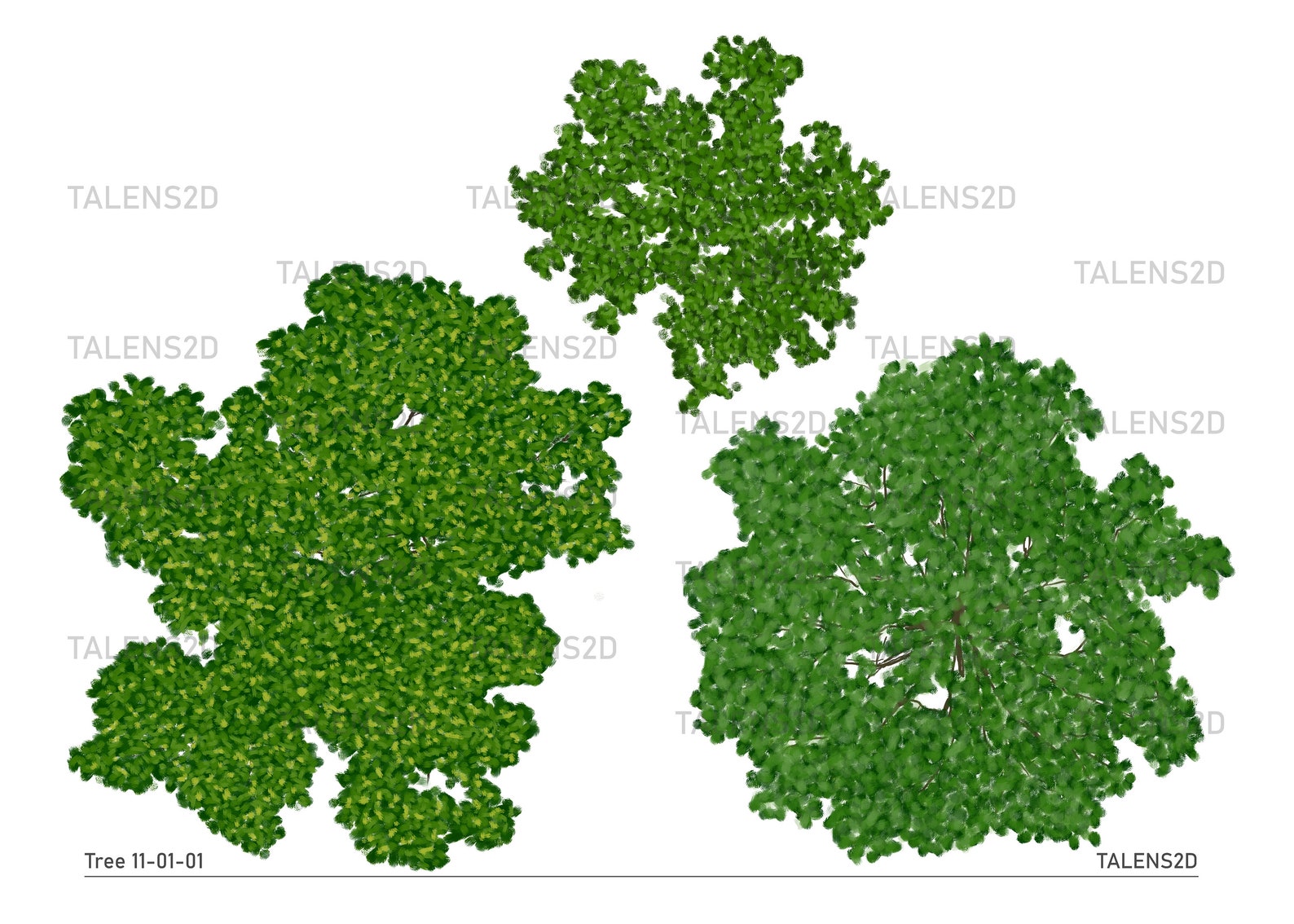 Tree Top View, 2D Landscape Clipart in PNG - Etsy