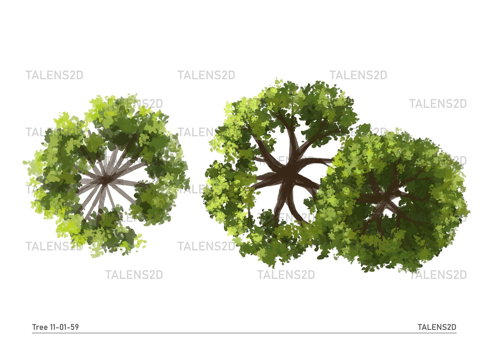 Tree Top View, 2D Landscape Clipart in PNG - Etsy