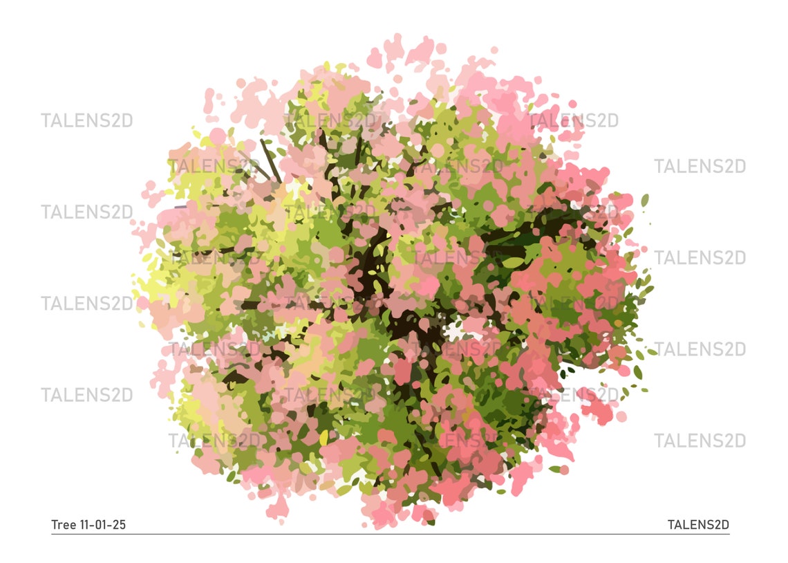 Tree Top View, 2D Landscape Clipart in PNG - Etsy