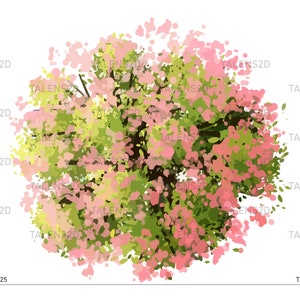 Tree Top View, 2D Landscape Clipart in PNG - Etsy