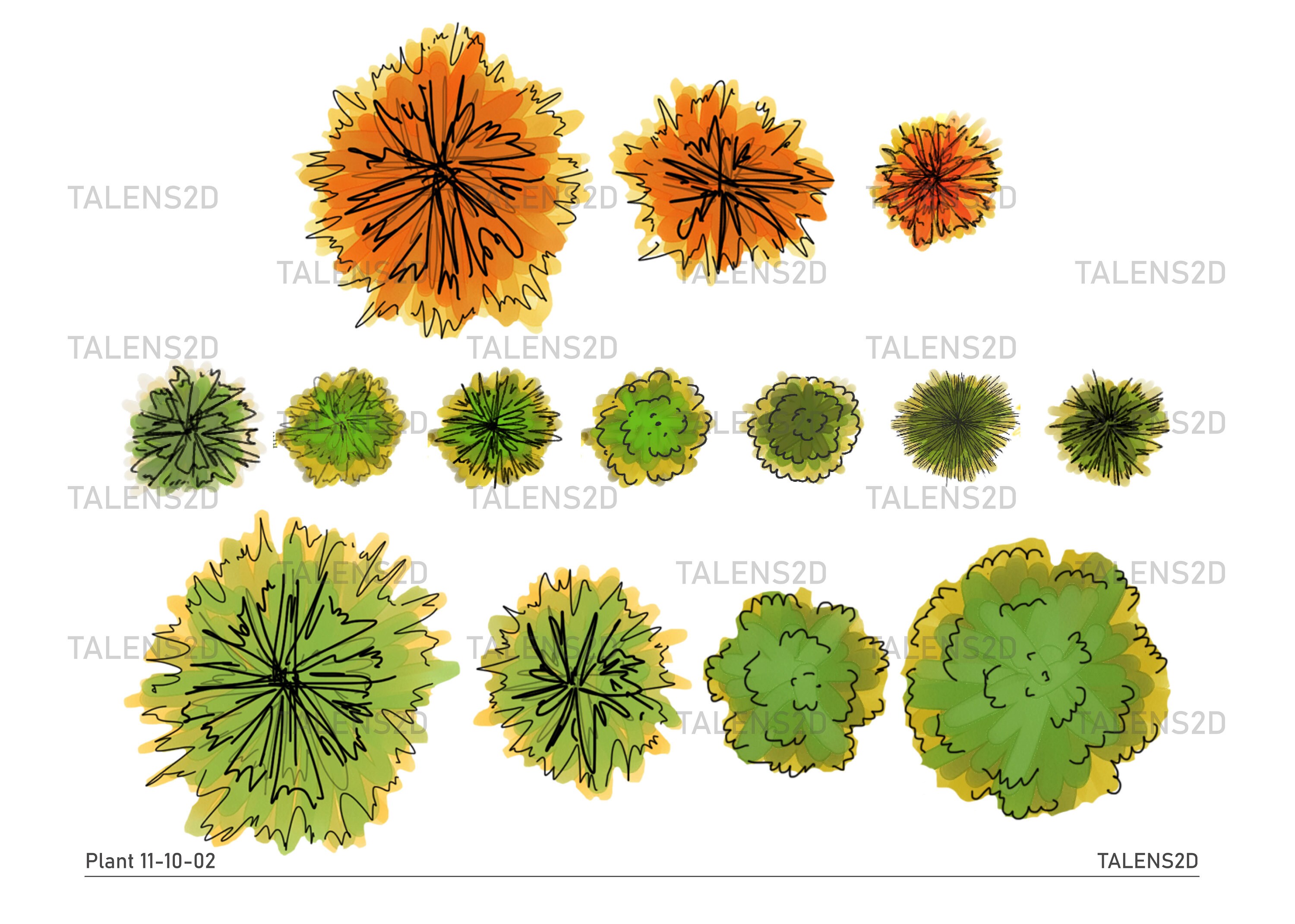 Plant Top View, Landscape Plants, Hand Painted Plant Top Symbols for ...