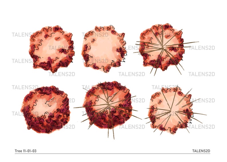 Tree Top View, 2D Landscape Clipart in PNG - Etsy