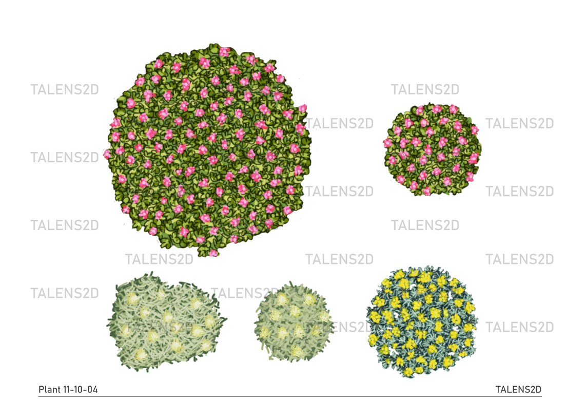 Plant Top View, 2D Landscape Clipart in PNG - Etsy