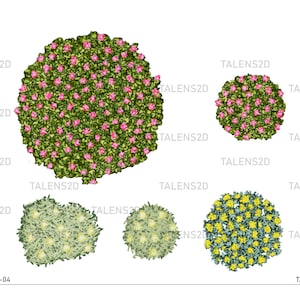 Plant Top View, 2D Landscape Clipart in PNG - Etsy