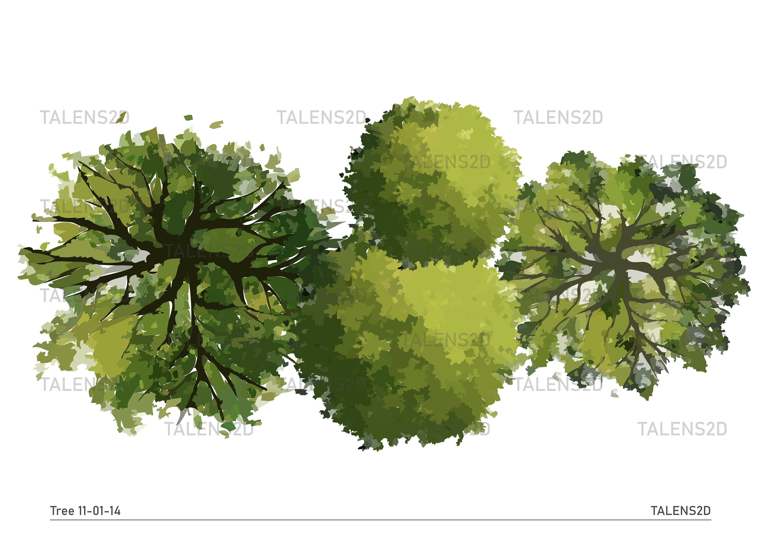 Tree Top View, 2D Landscape Clipart in PNG - Etsy