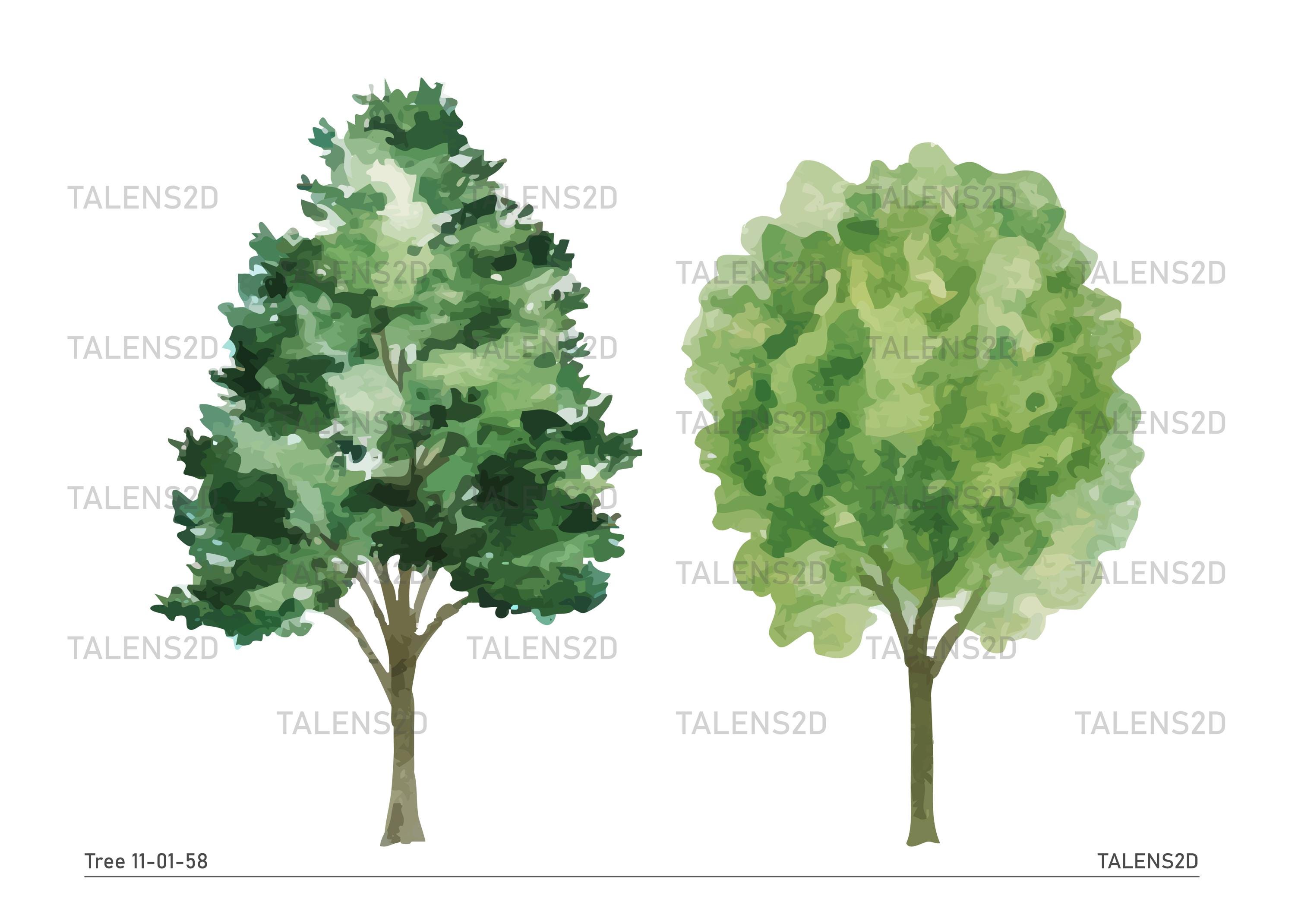 Watercolor Trees Clipart | Painted Tree Clipart | PNG Graphics ...