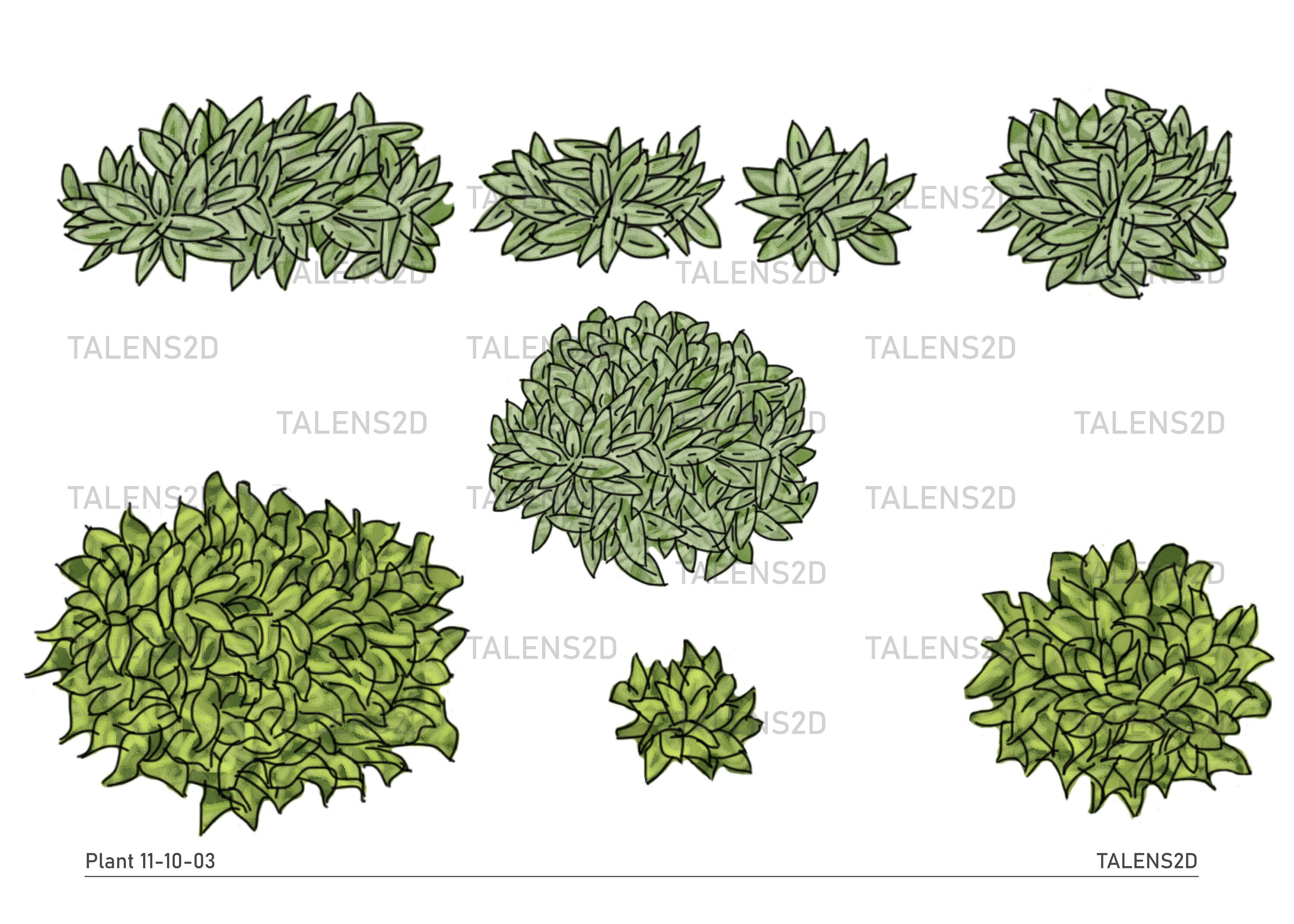 Plant Top View, 2D Landscape Clipart in PNG - Etsy