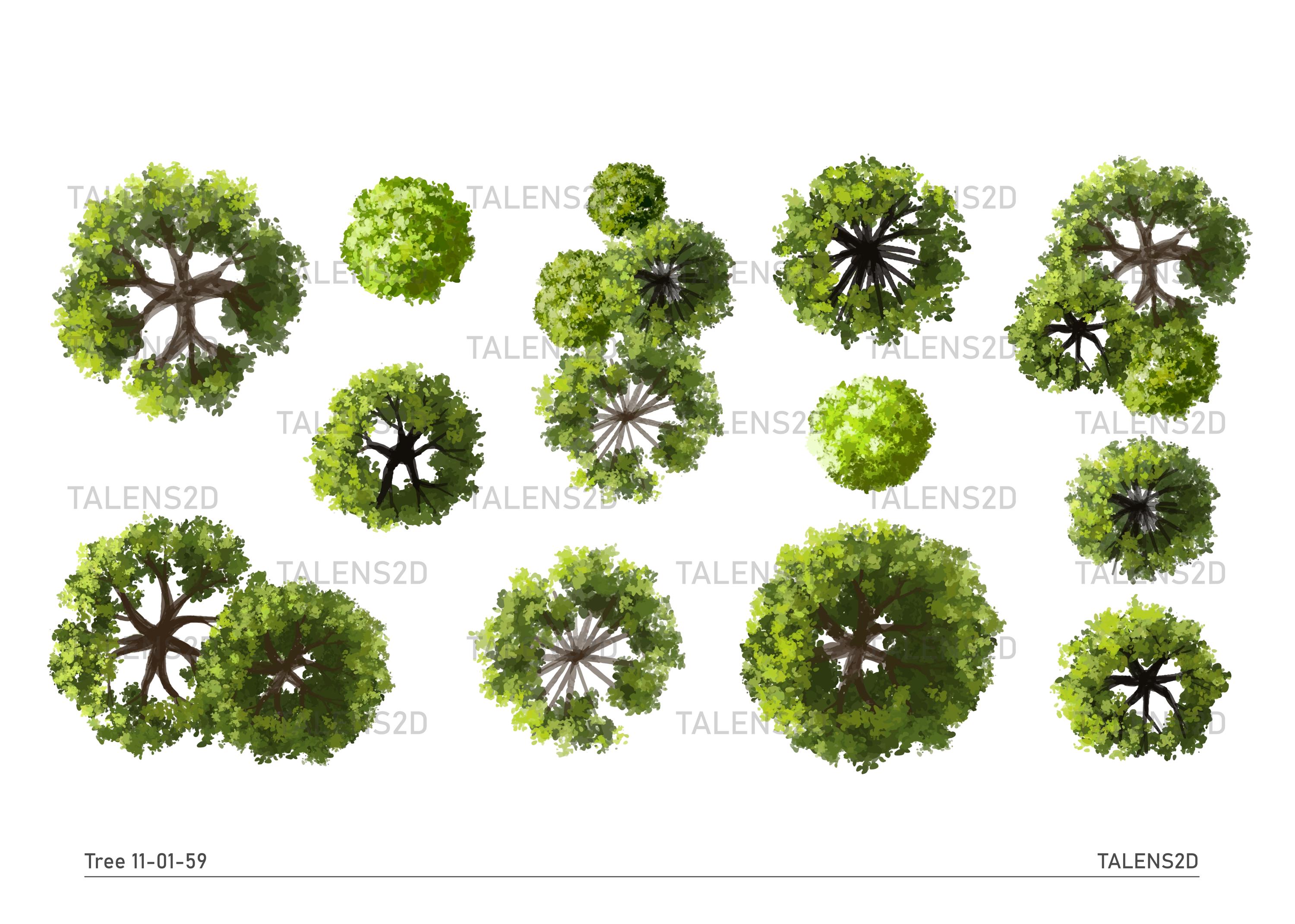 Tree Top View, 2D Landscape Clipart in PNG - Etsy
