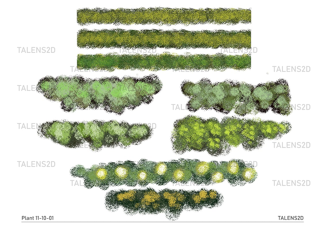 Plant Top View, 2D Landscape Clipart in PNG - Etsy