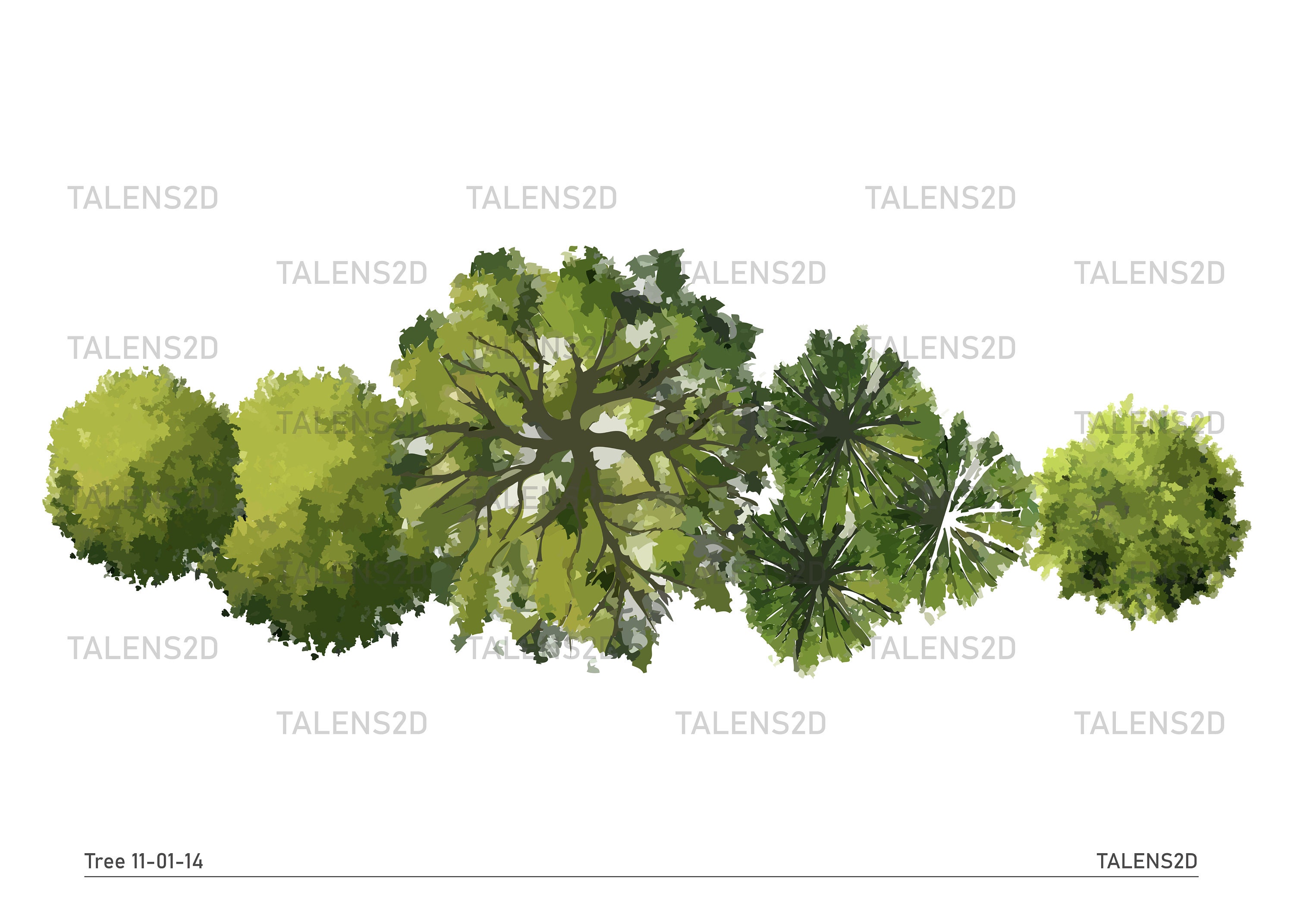 Tree Top View, 2D Landscape Clipart in PNG - Etsy