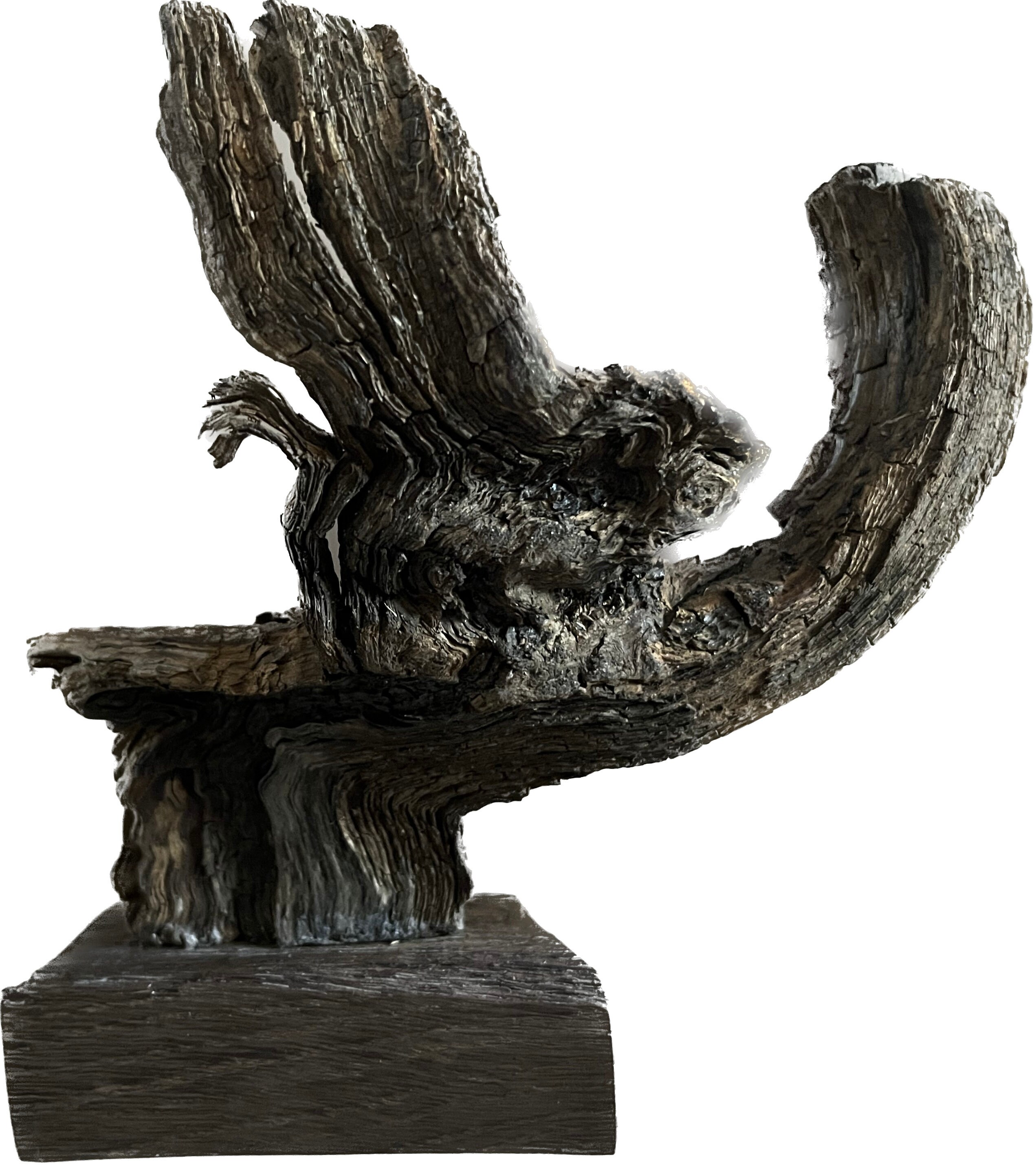 Archaeological Wood "tree Sculpture" Black Bog Oak Wood - Unique Piece ...