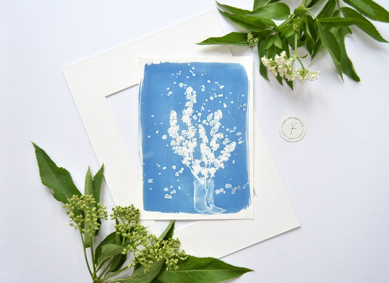 Cyanotype Botanical Art, Blue Flower Art, Cyanotype Original Fine Art ...