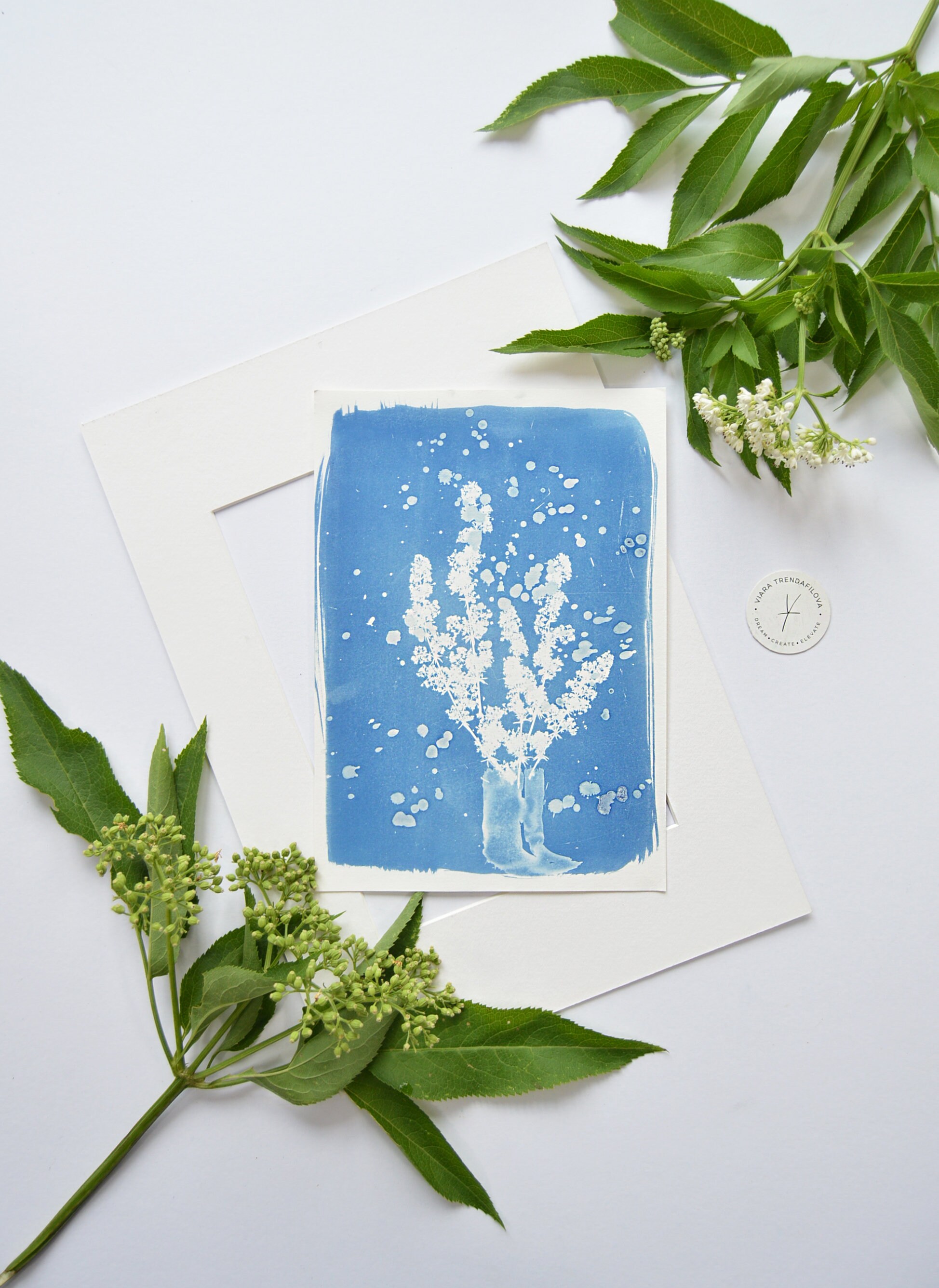 Phototype Art Print, Cyanotype Botanical Art, Blue Flower Art ...